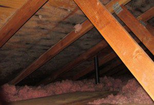 mold inside roof | On Top Home Improvements, Inc.